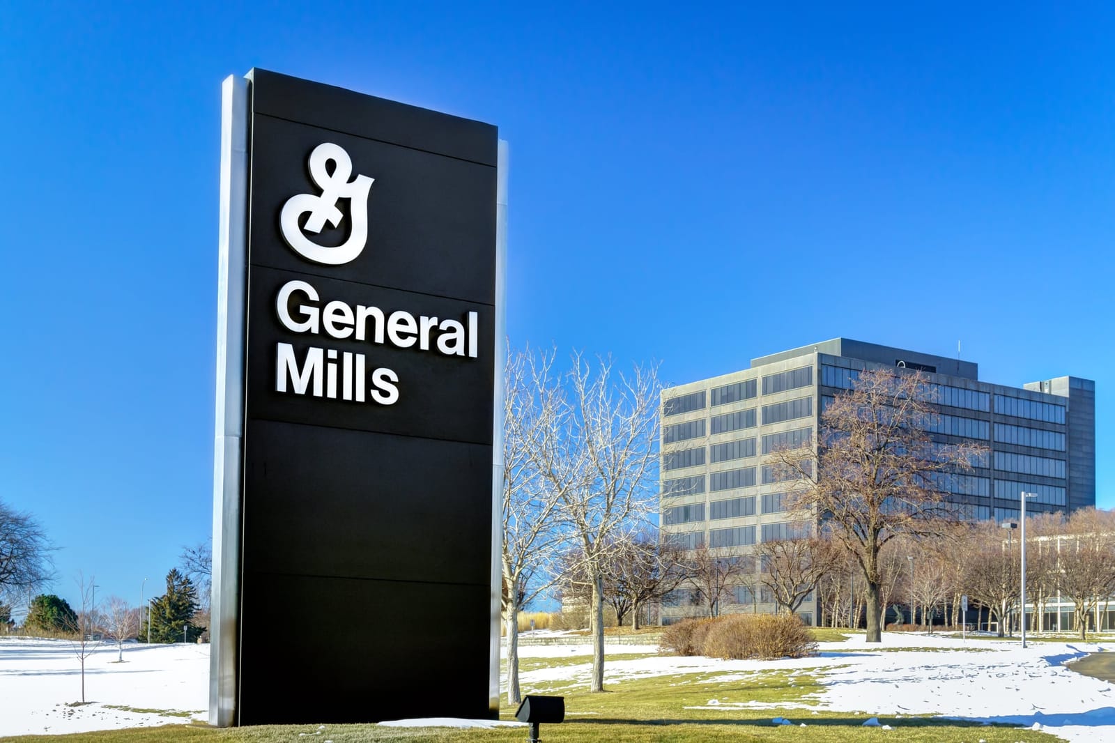 General Mills SWOT Analysis [2024 Updated]